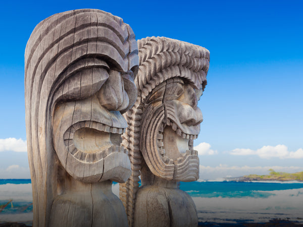 The Legend of Kamapua'a – LBD Coffee Times